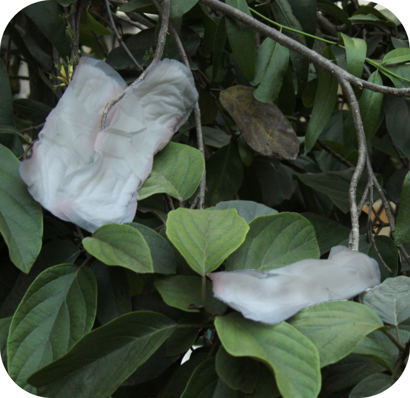 About | Padcare Labs